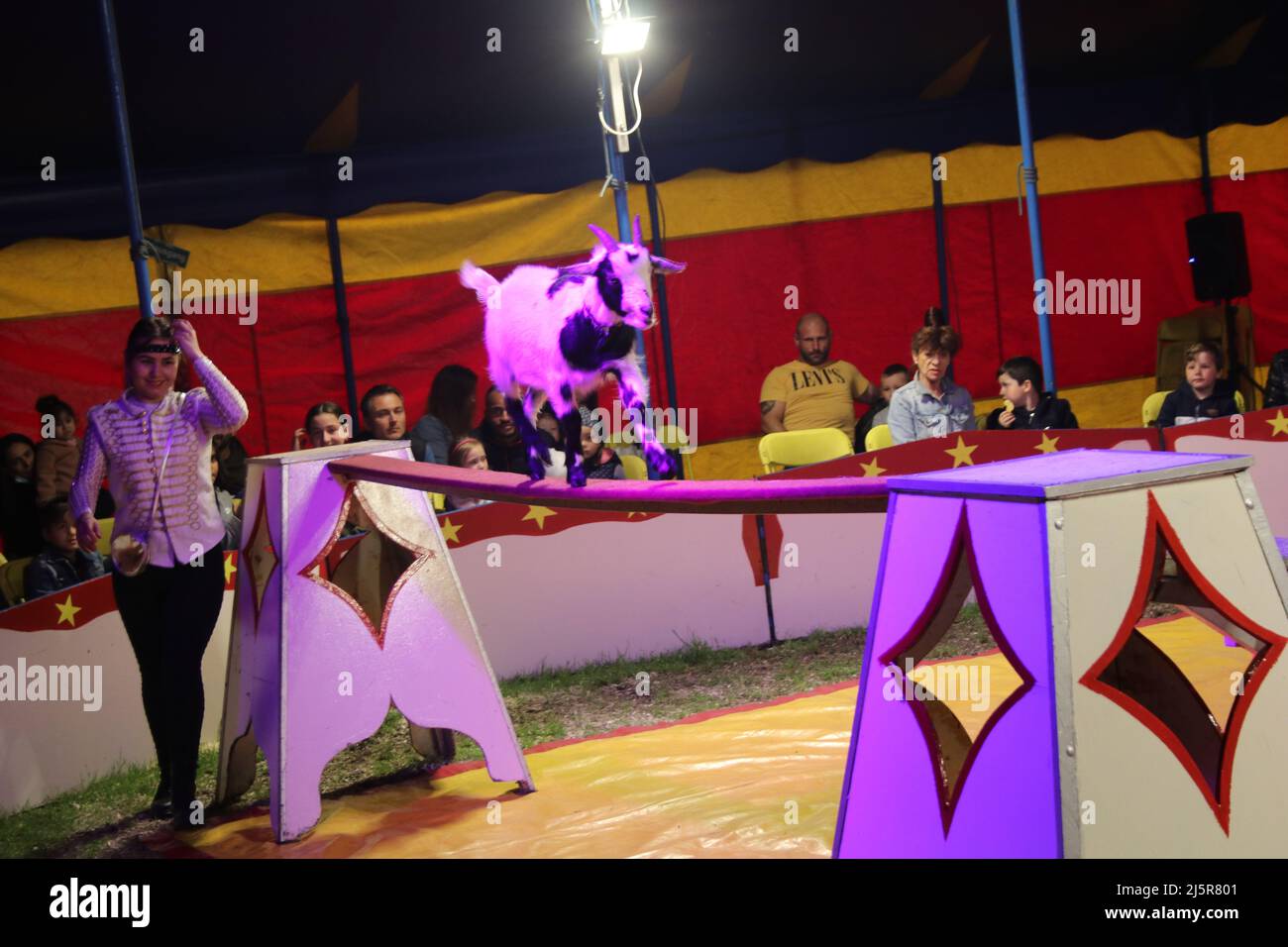 Trumpf renz family hi-res stock photography and images - Alamy