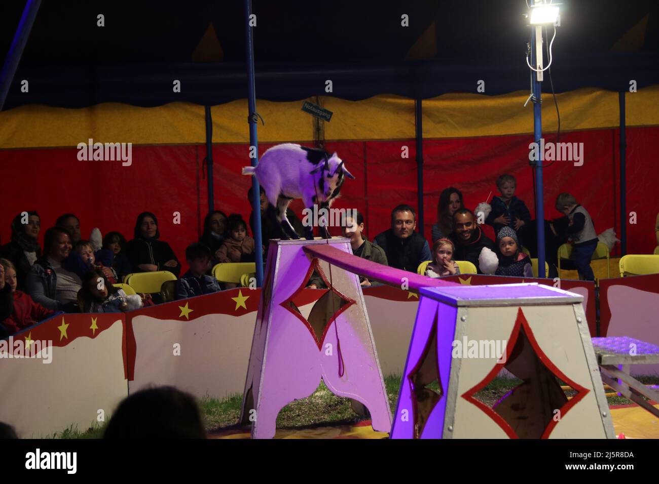 Trumpf renz family hi-res stock photography and images - Alamy