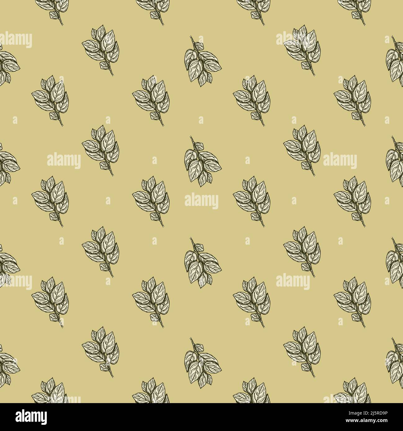 Seamless pattern engraved tree branches. Vintage background summer ...