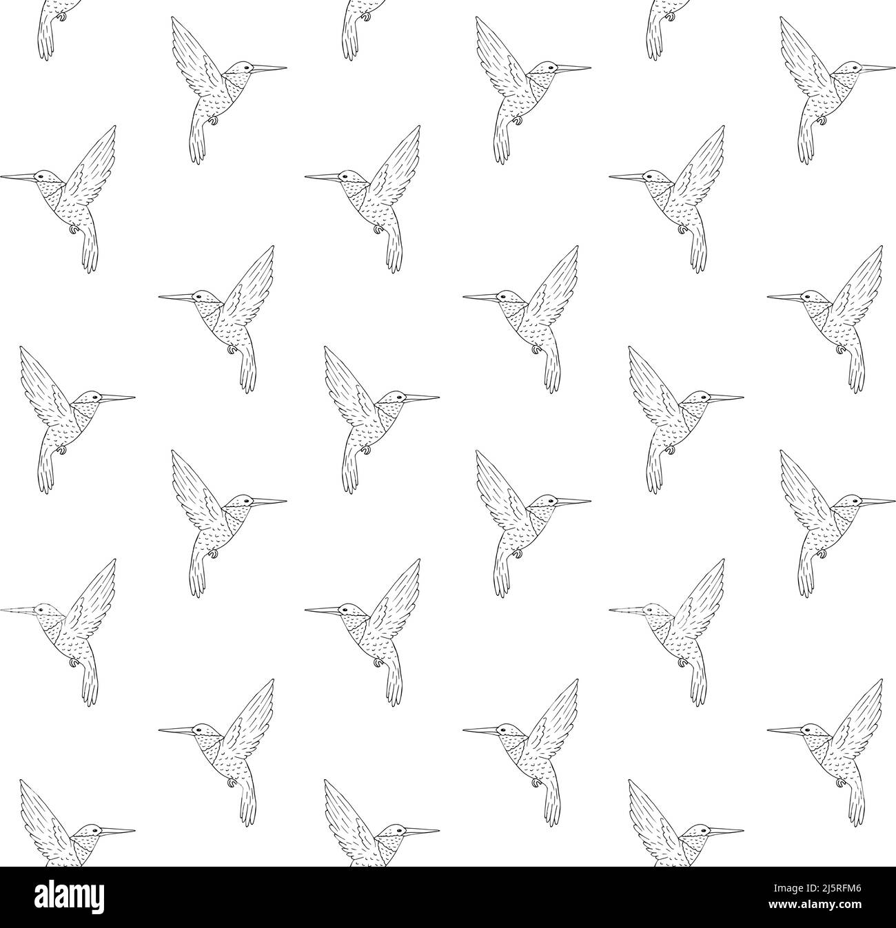 Vector seamless pattern of hand drawn doodle sketch hummingbird ...