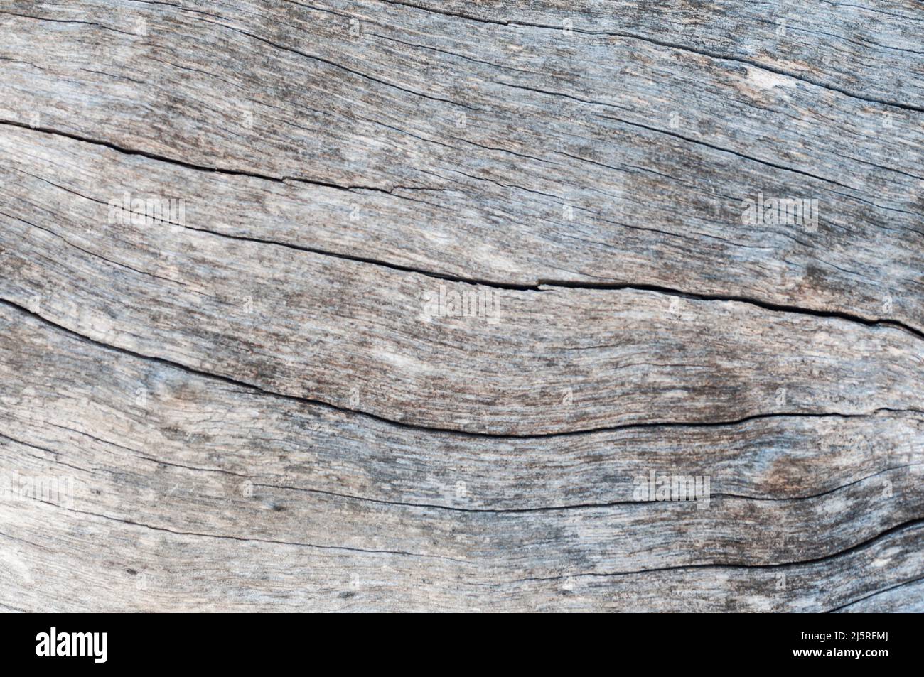 Rustic gray wood background with structural effect Stock Photo - Alamy