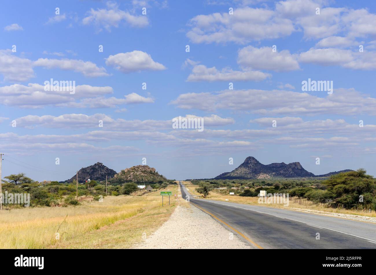 Landscape with straight road left and right trees to the horizon ...