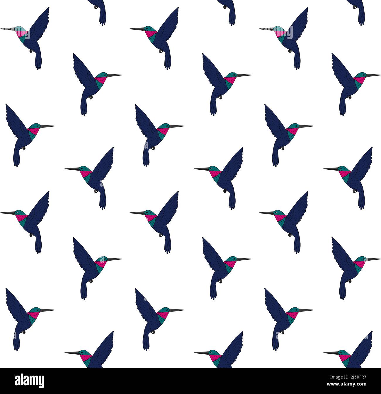 Vector seamless pattern of hand drawn doodle sketch colored hummingbird ...