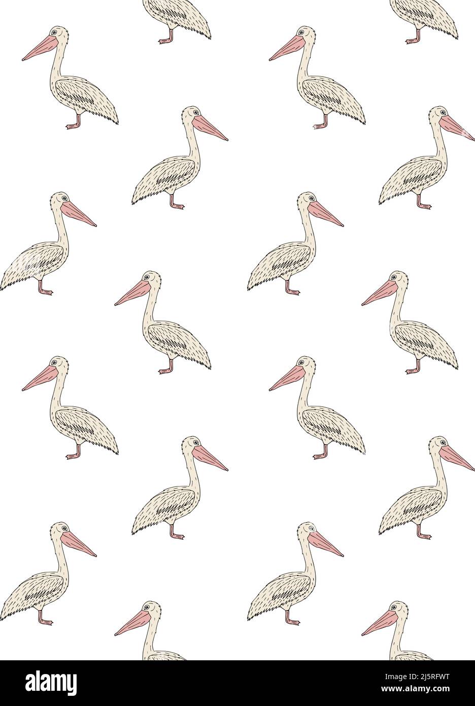 Vector seamless pattern of hand drawn doodle sketch pelican isolated on ...