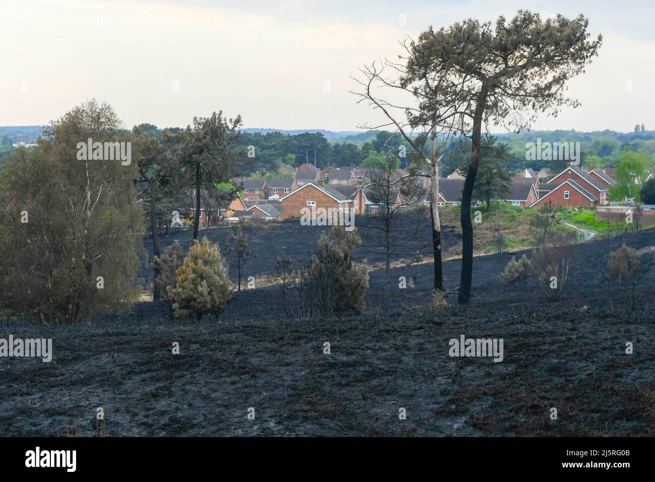 Dorset fire hi-res stock photography and images - Alamy