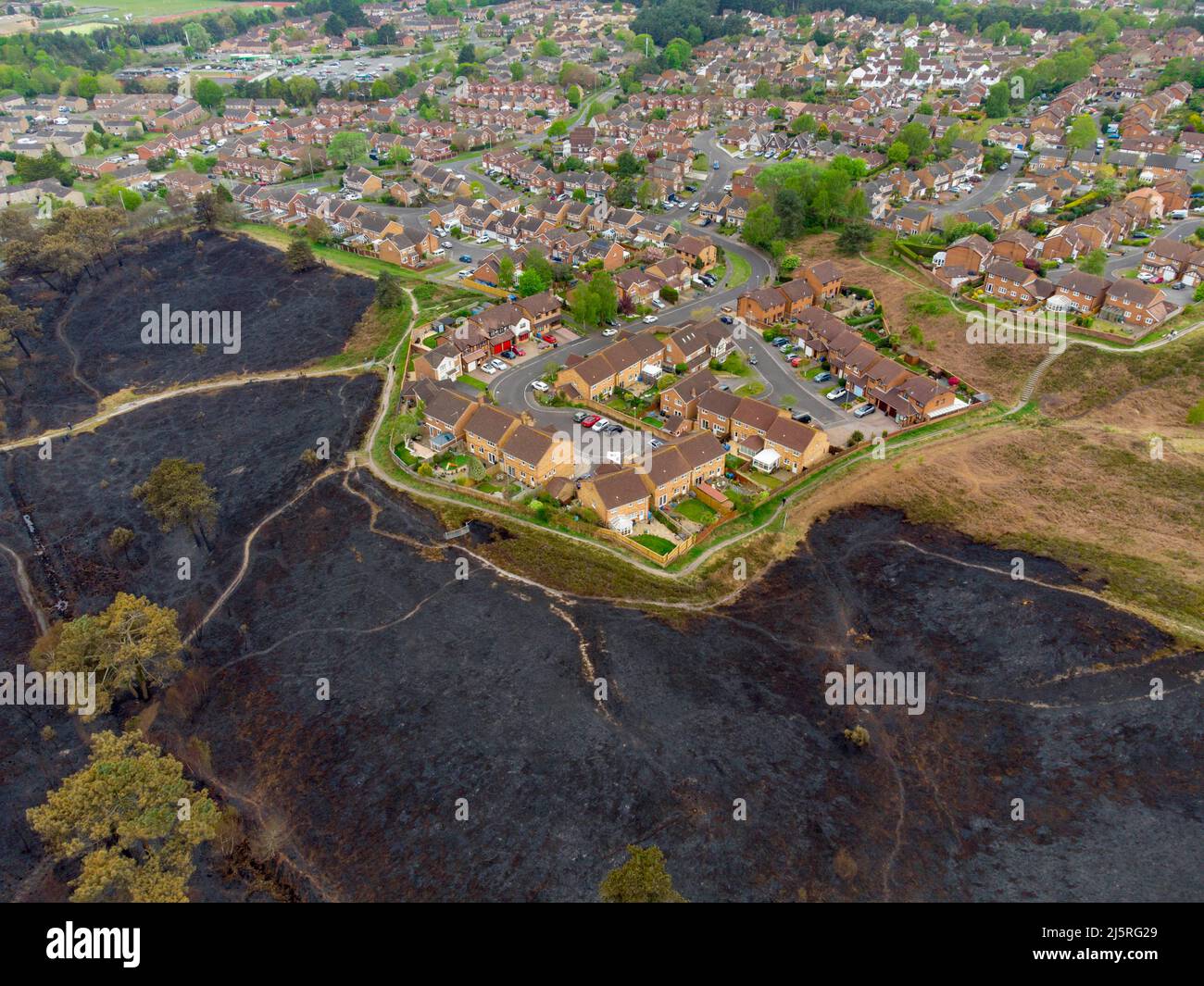 Britain largest species of snake hi-res stock photography and images ...