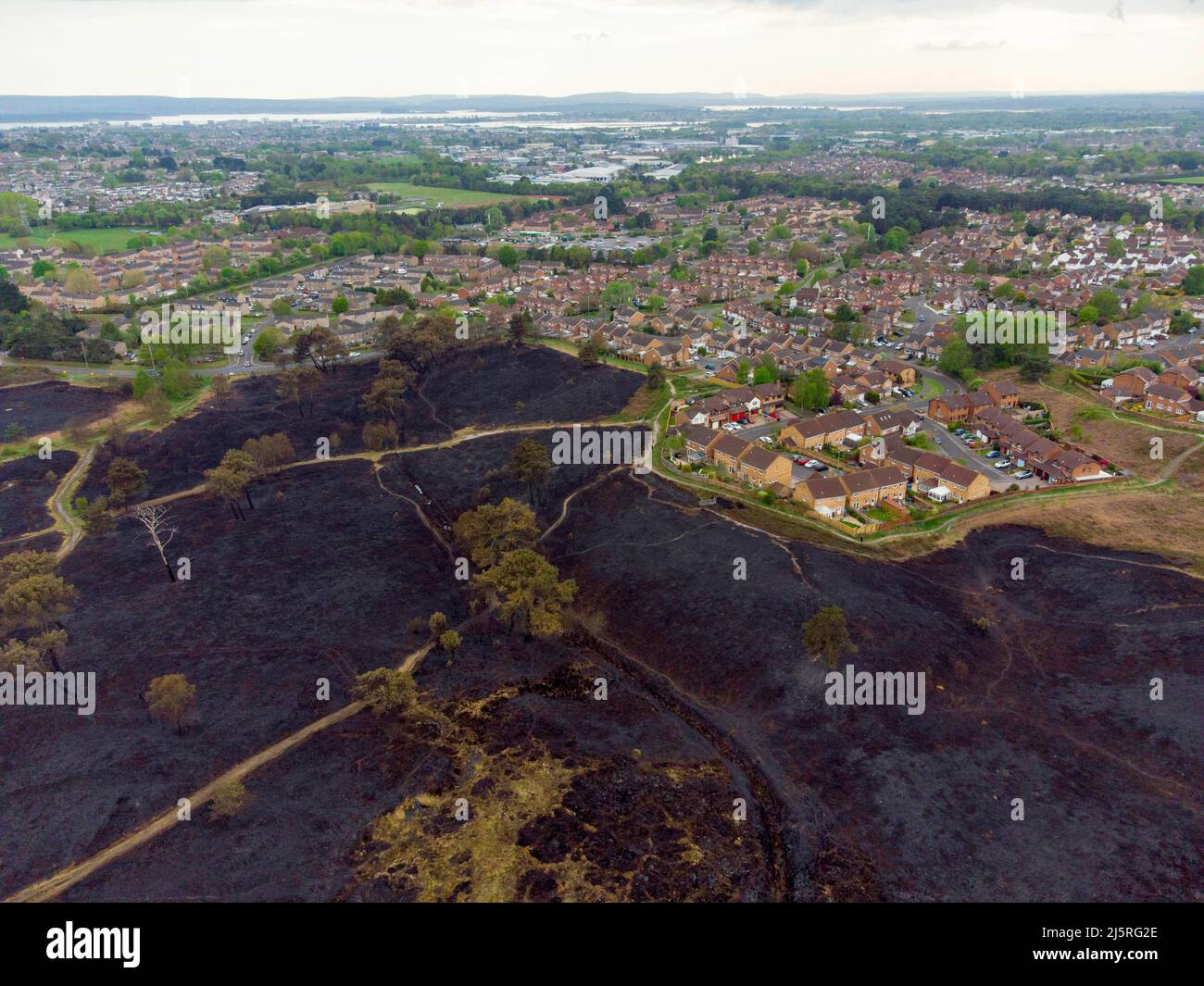 Britain largest species of snake hi-res stock photography and images ...