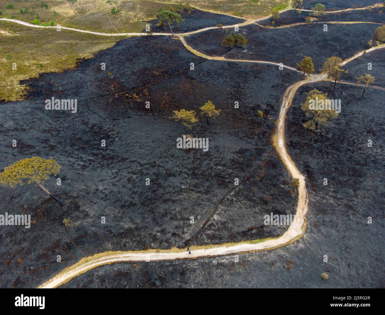 Britain largest species of snake hi-res stock photography and images ...