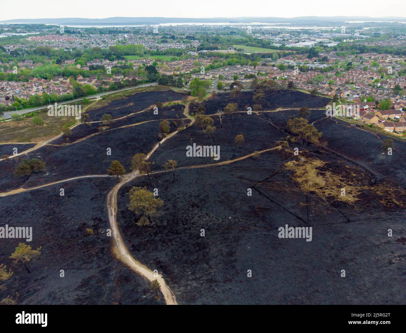 Canford Heath, Poole, Dorset, UK. 25th April 2022. General view from ...
