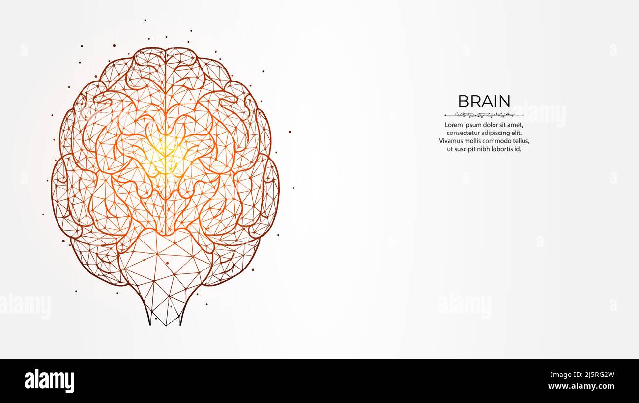 Abstract polygonal vector illustration of human brain on a light ...