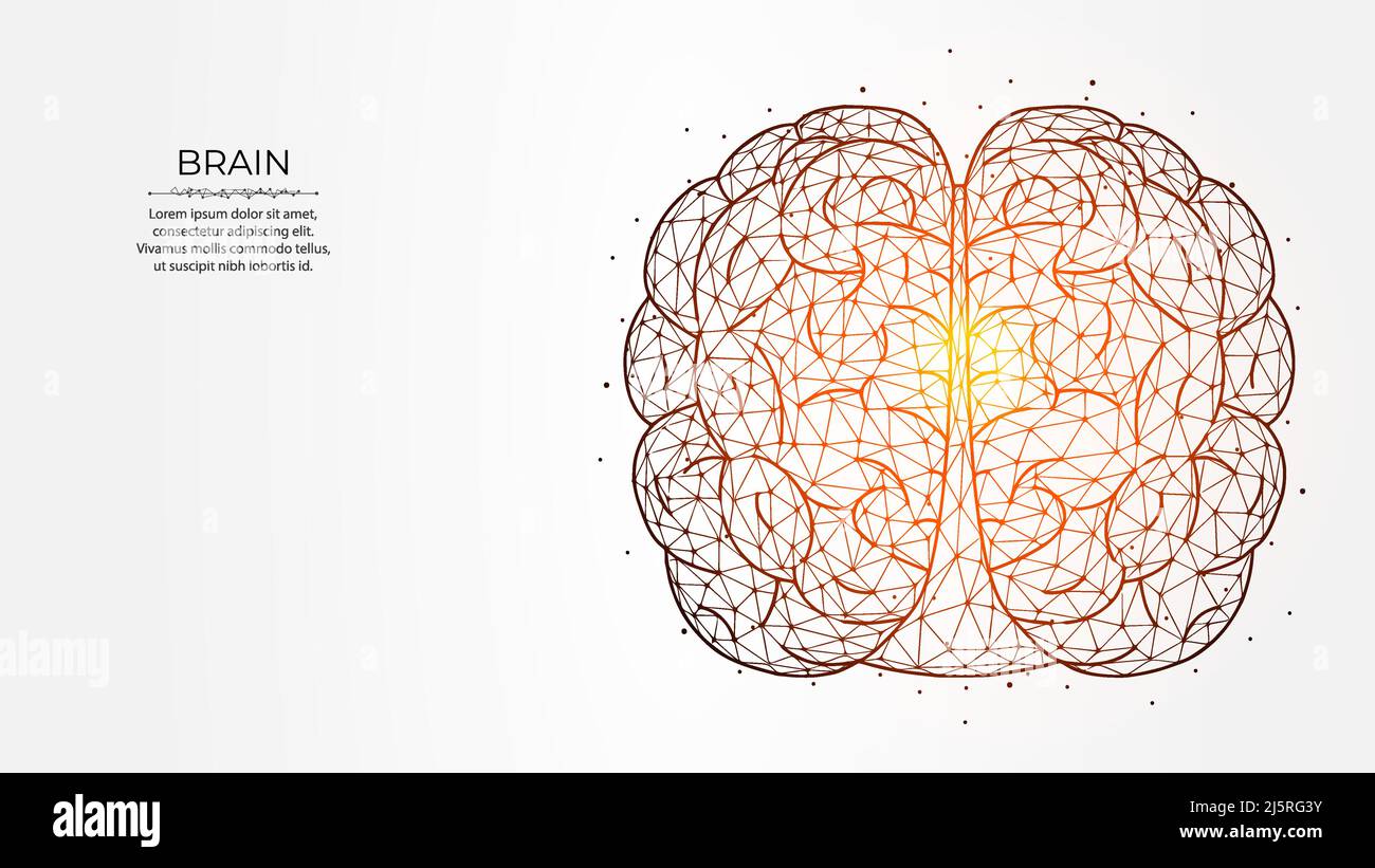 Abstract polygonal vector illustration of human brain on a light ...