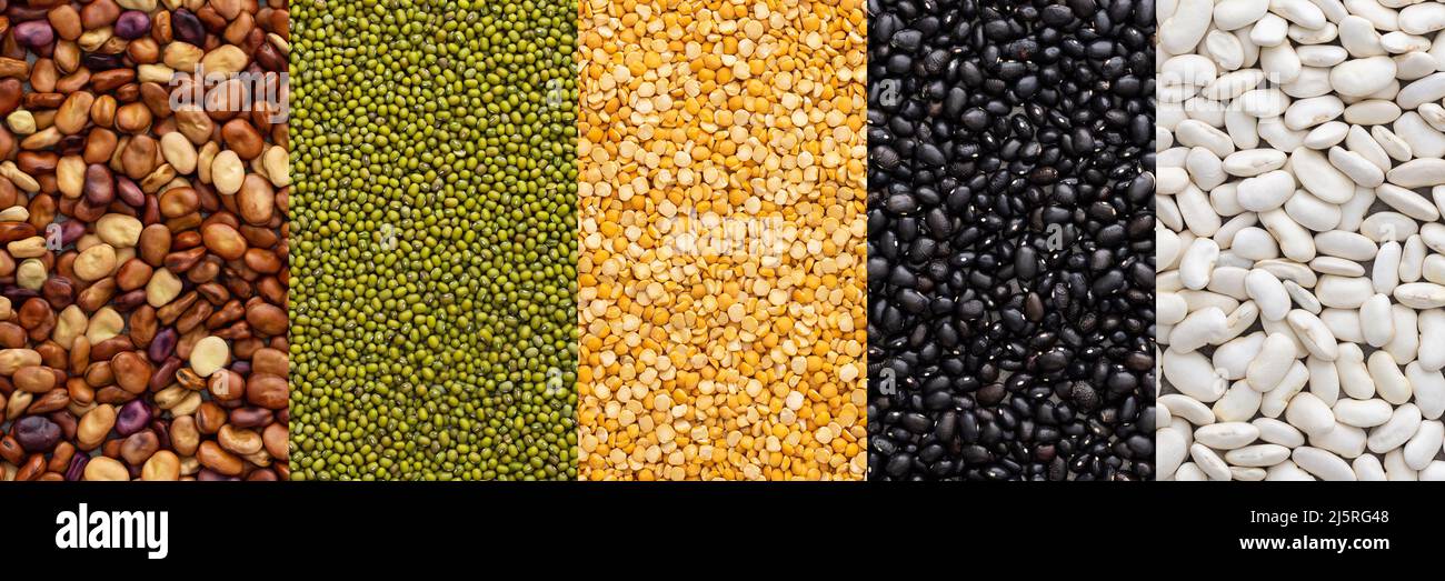 Different types of legumes banner, brown and mung beans, yellow peas ...