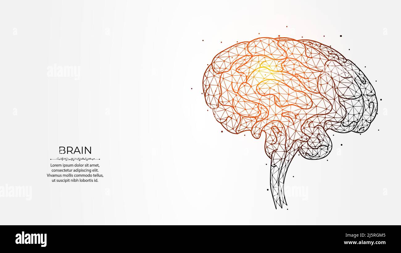 Abstract polygonal vector illustration of human brain on a light ...