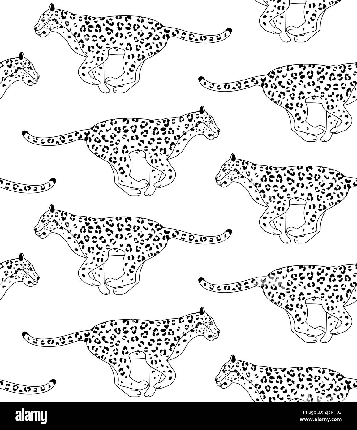 Vector seamless pattern of flat running outline leopard isolated on ...