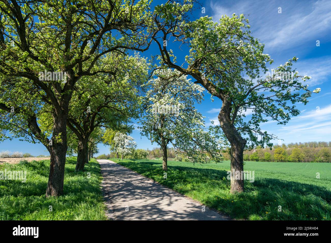 Southwestern nature hi-res stock photography and images - Alamy