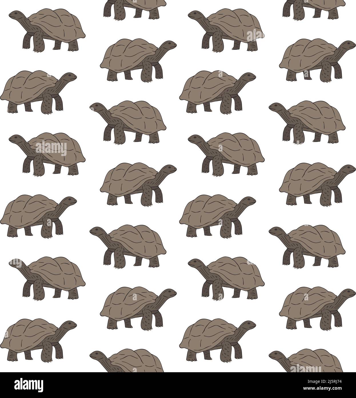 Vector seamless pattern of hand drawn doodle sketch colored turtle ...