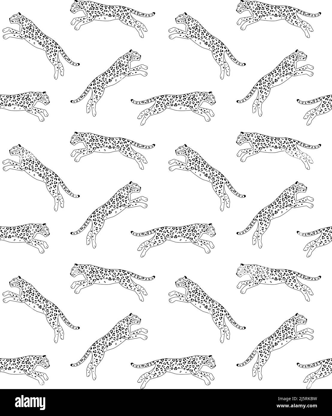 Vector seamless pattern of flat outline leopard isolated on white ...