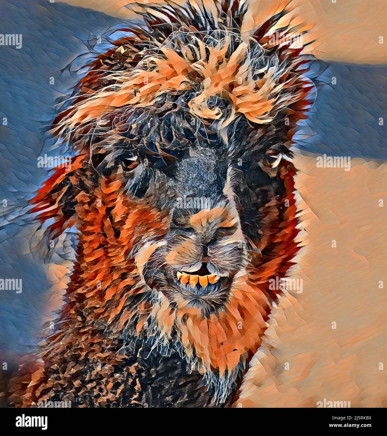 Whimsical alpaca drawing hi-res stock photography and images - Alamy