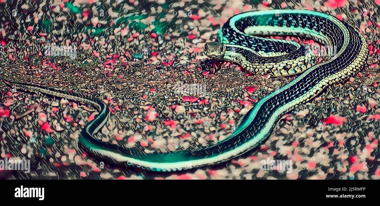 coiled snake ready to strike Stock Photo - Alamy