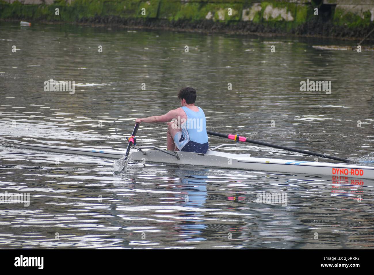 Young people rowing in Cork city Stock Photo - Alamy