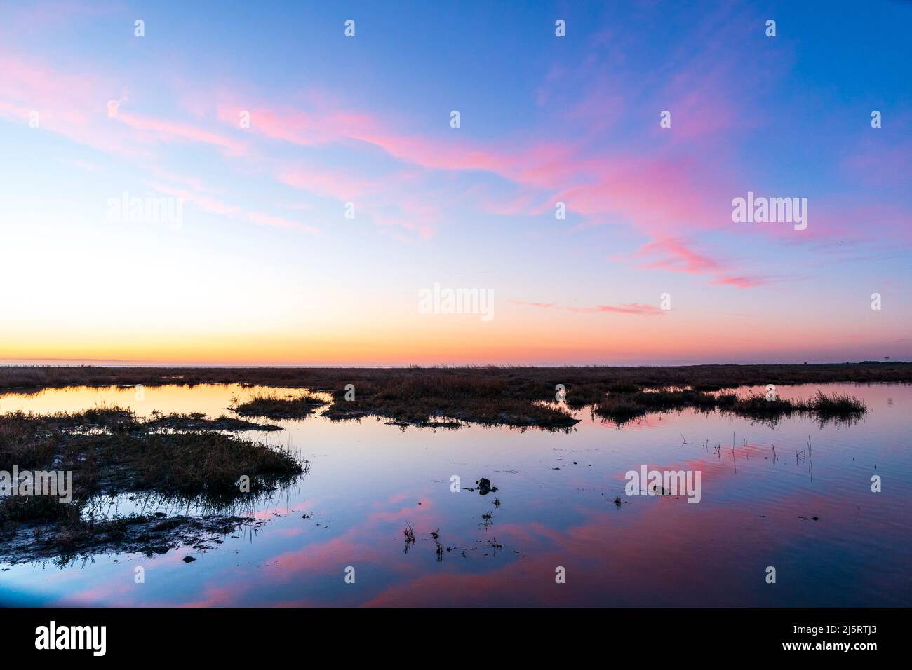 The winter dawn sky with bands of circus cloud over the English Channel ...