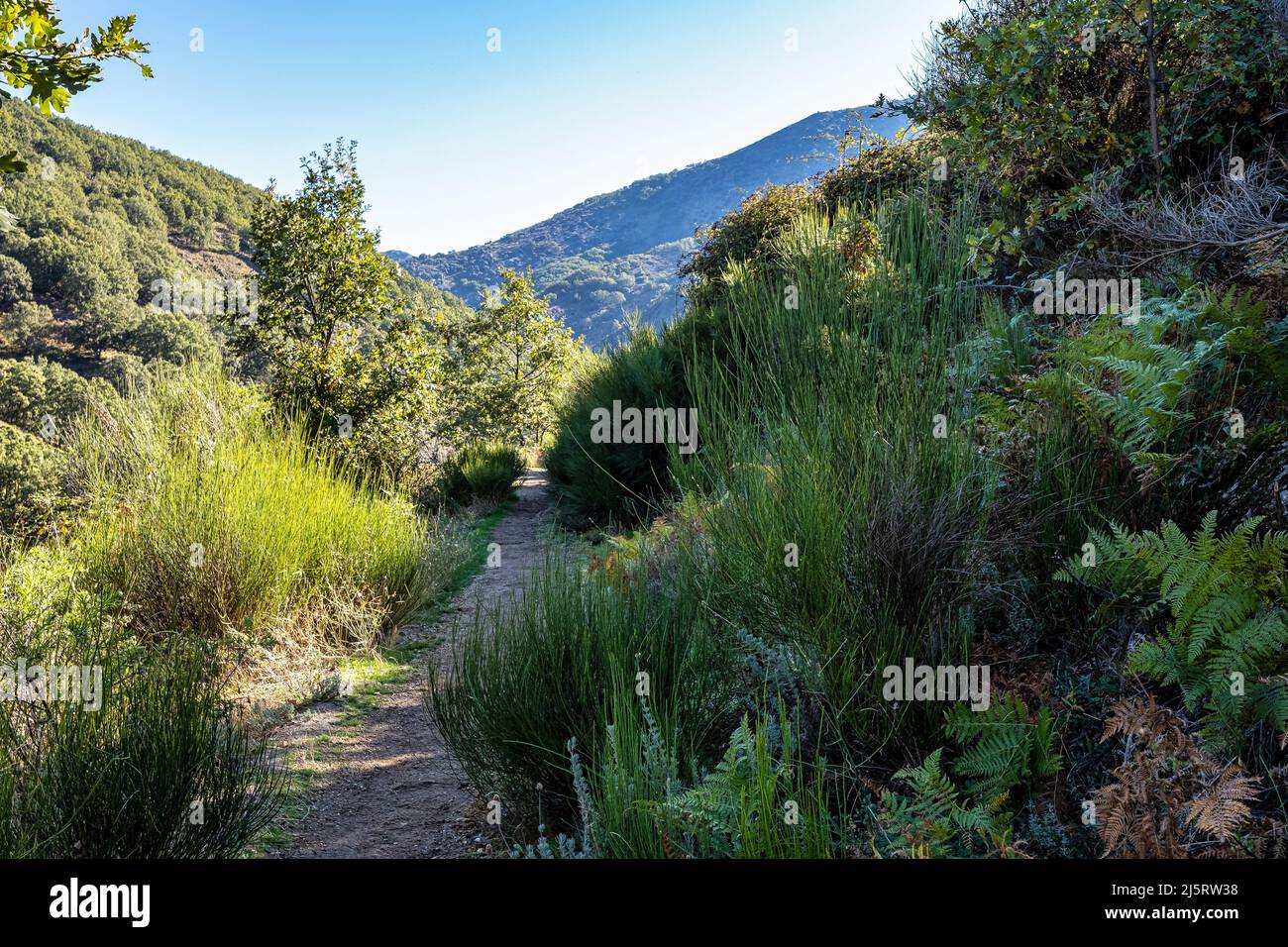 Los Pilones Gorge at Natural Reserve Gorge of hell, Garganta de los ...