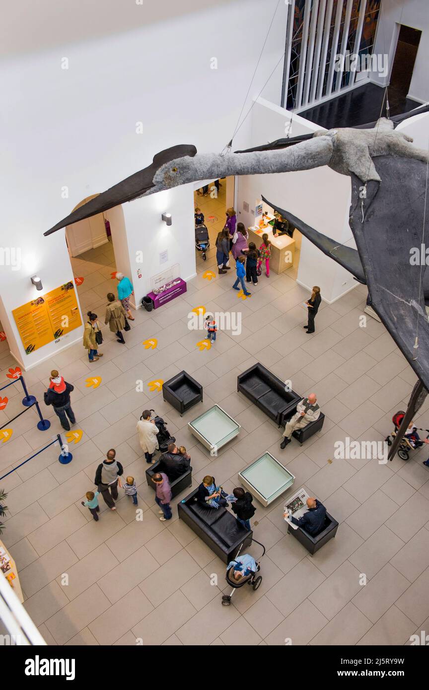 The Ulster Museum at Botanic Gardens, Stranmillis, Belfast Northern ...