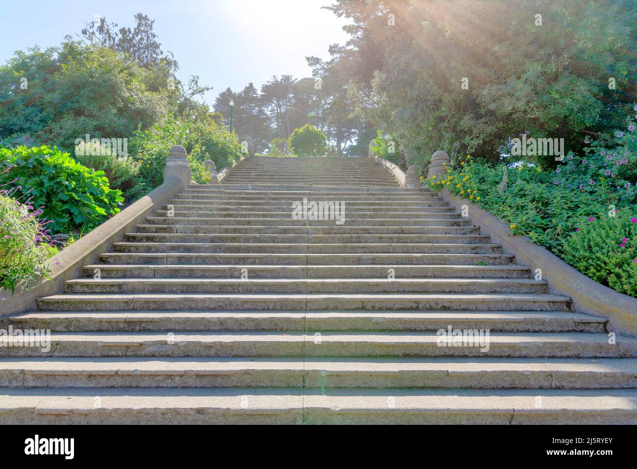 Concrete perron staircase with plants and trees on both sides in San ...