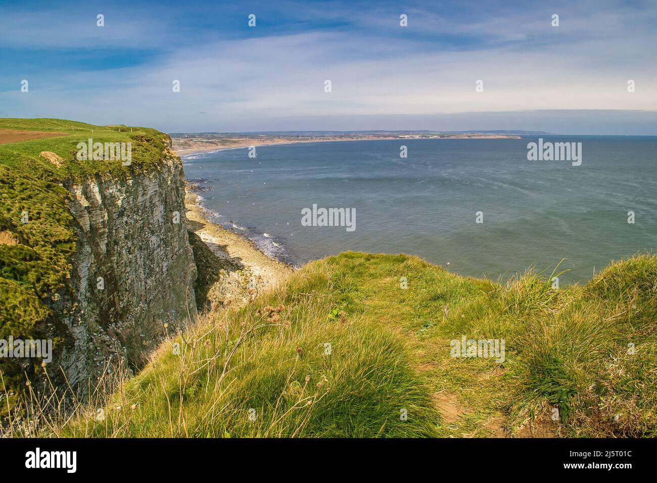 Buckton cliffs hi-res stock photography and images - Alamy