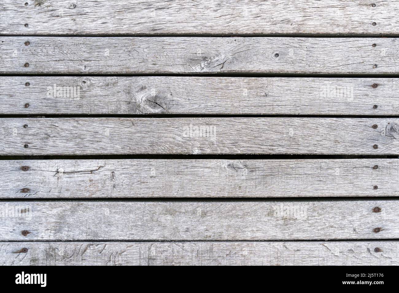 Grey timber planks background texture. Real wooden boards horizontal ...