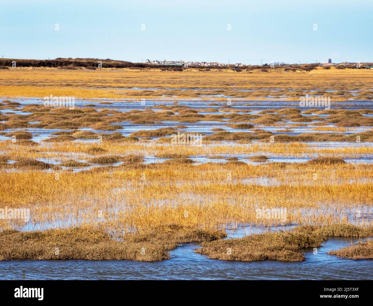 Salt marsh inundated at high tide on Walney Island, UK Stock Photo - Alamy