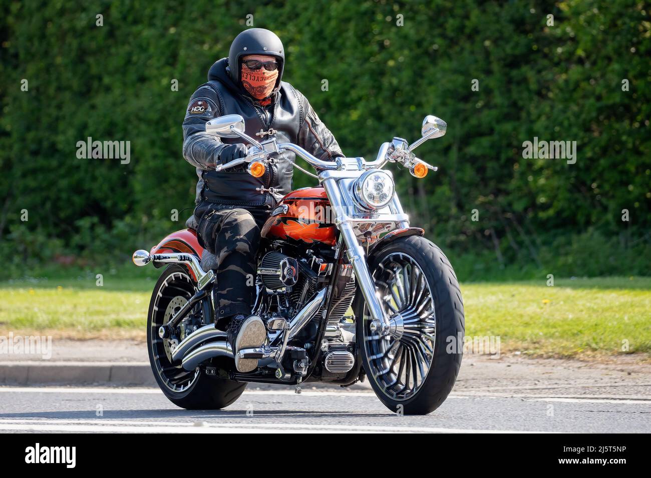 Man riding a Harley Davidson motorcycle Stock Photo - Alamy