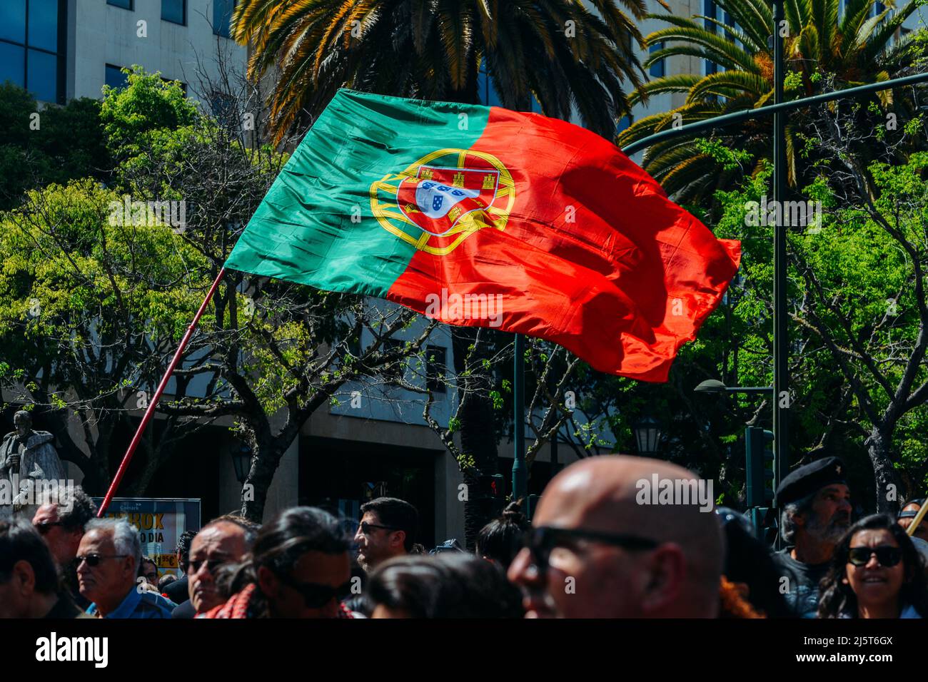 Red carnation portugal hi-res stock photography and images - Alamy