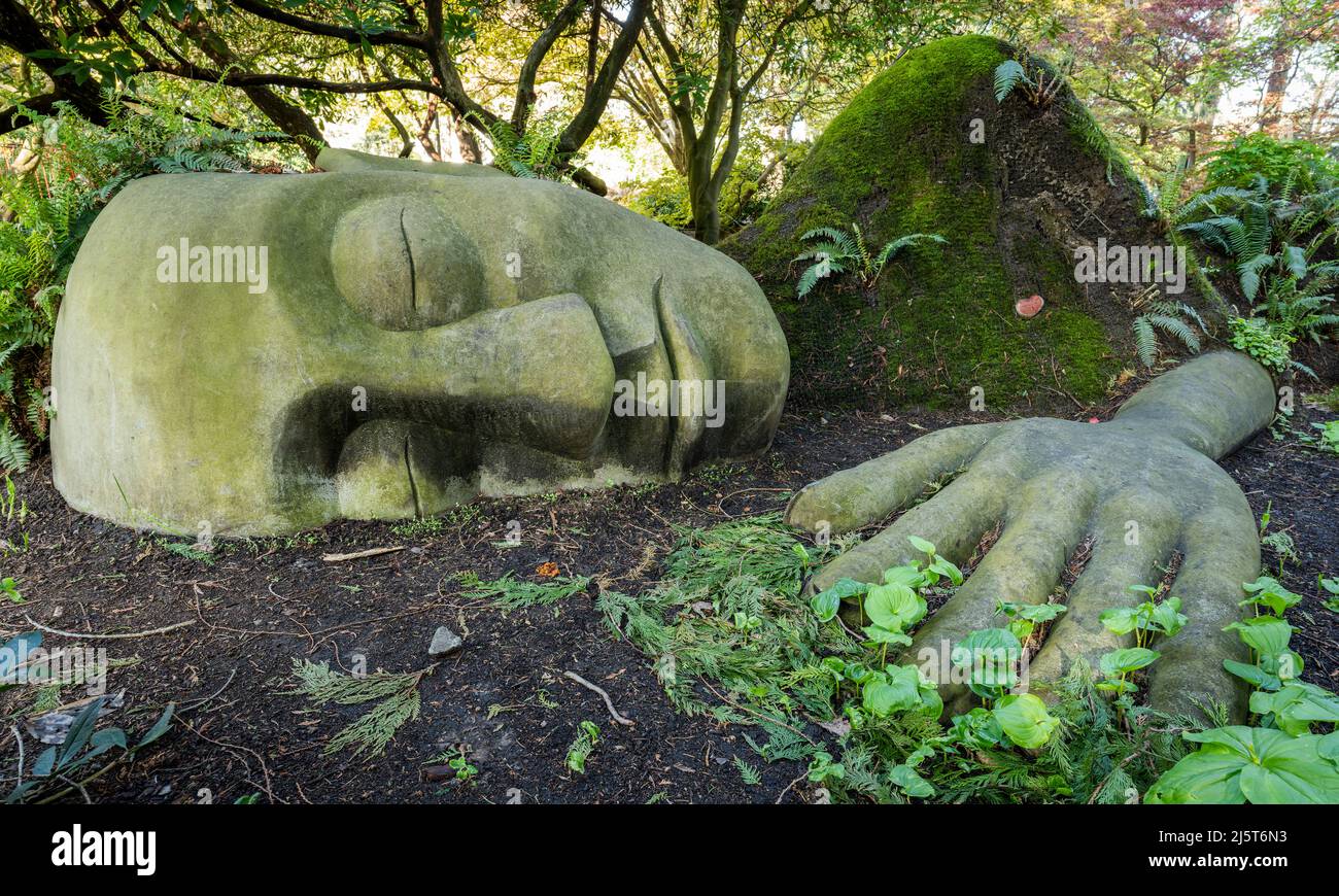 Moss lady hi-res stock photography and images - Alamy
