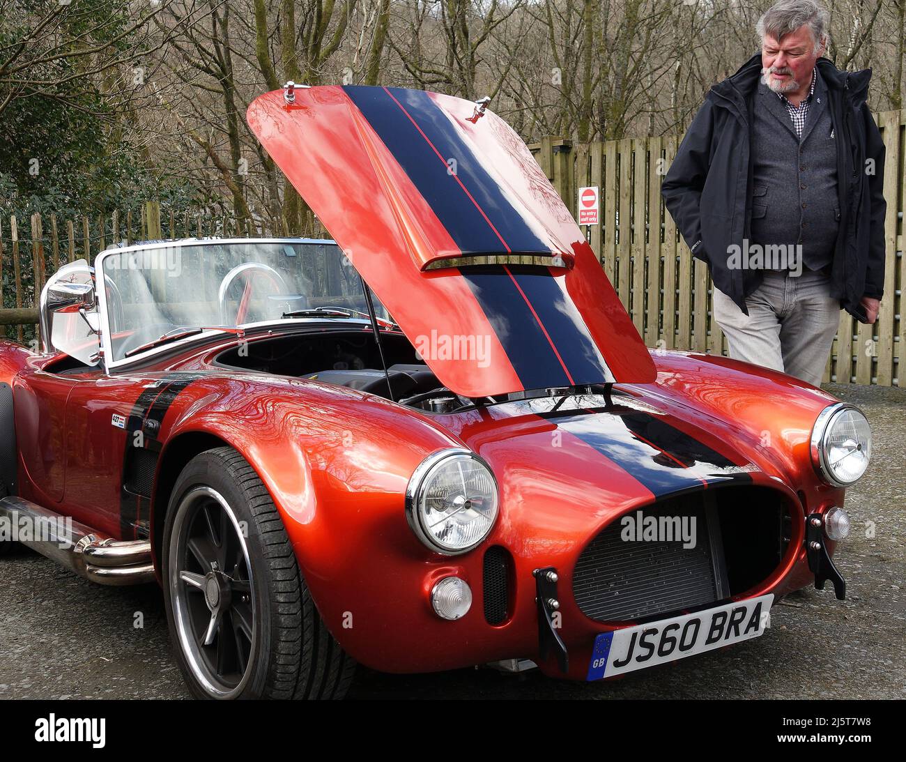 Cobra stripes hi-res stock photography and images - Alamy