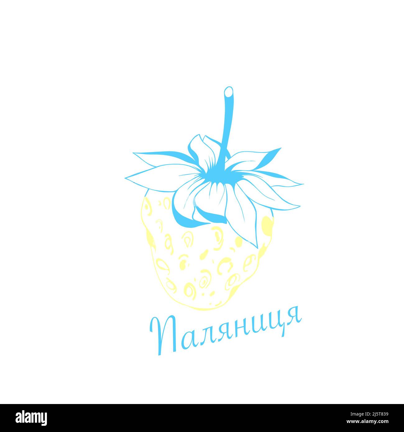 yellow-blue strawberry is the color of the flag of Ukraine. national ...
