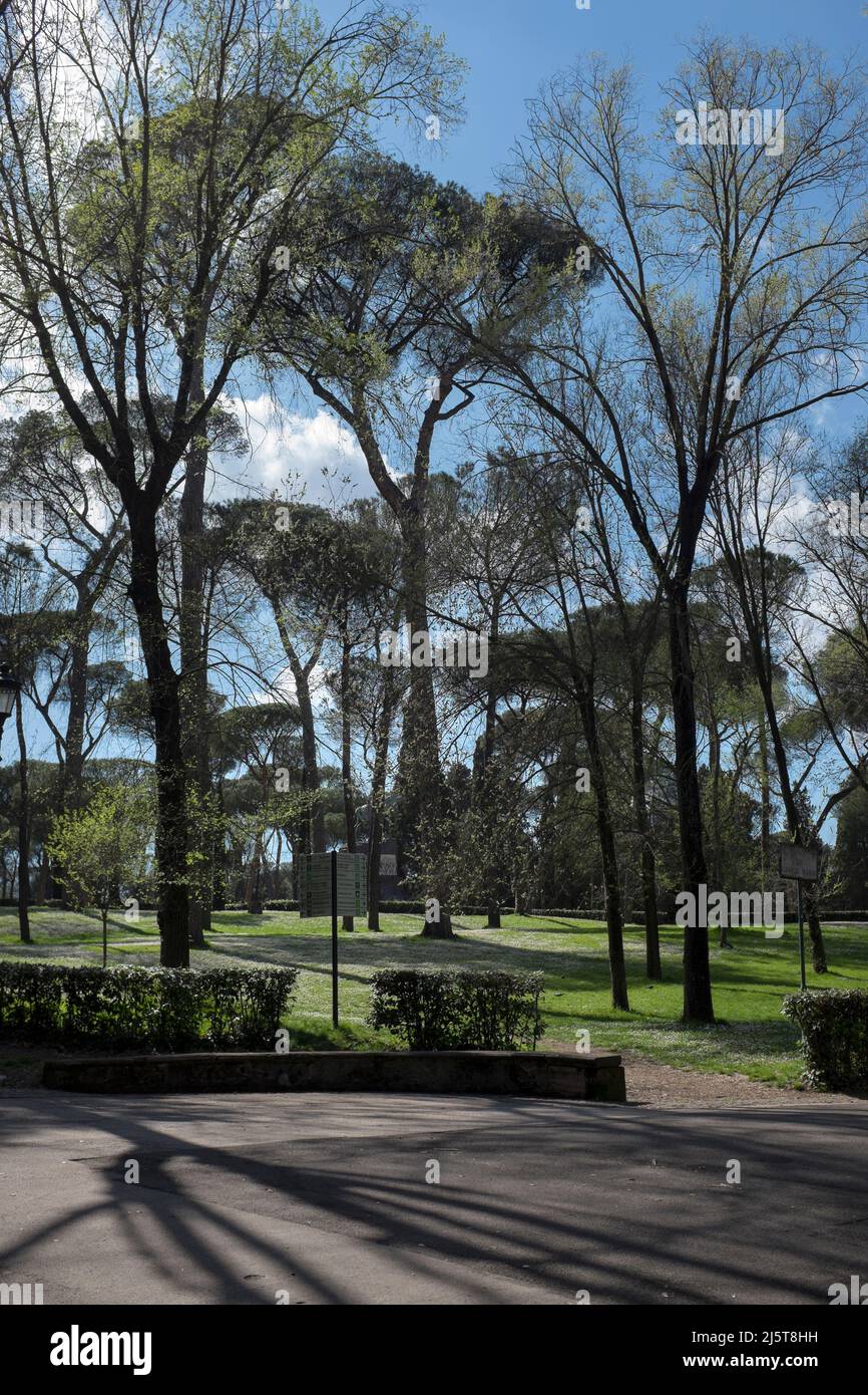 Spring Trees in the Gardens of the Villa Borghese Rome Italy Stock ...
