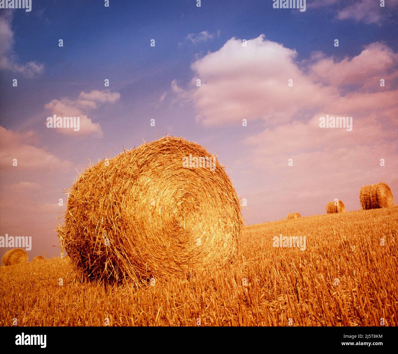 Vivid landscape with single prominent round hay bale on a slant Stock ...