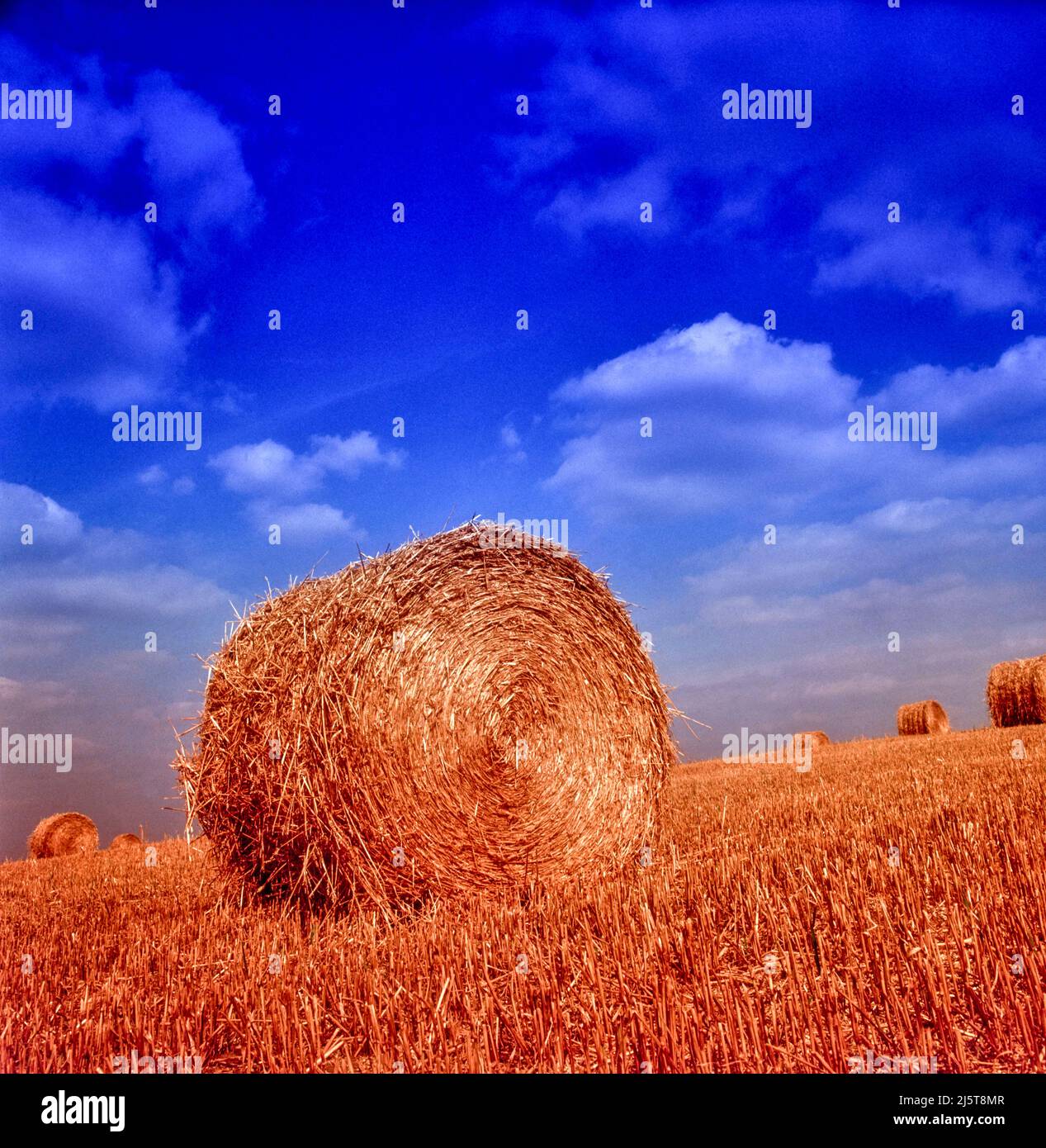 Vivid landscape with single prominent round hay bale on a slant Stock ...