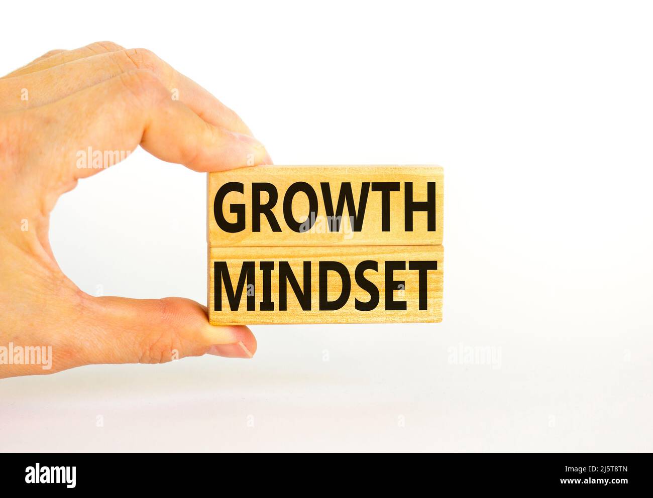 Growth mindset symbol. Wooden blocks with concept words Growth mindset ...