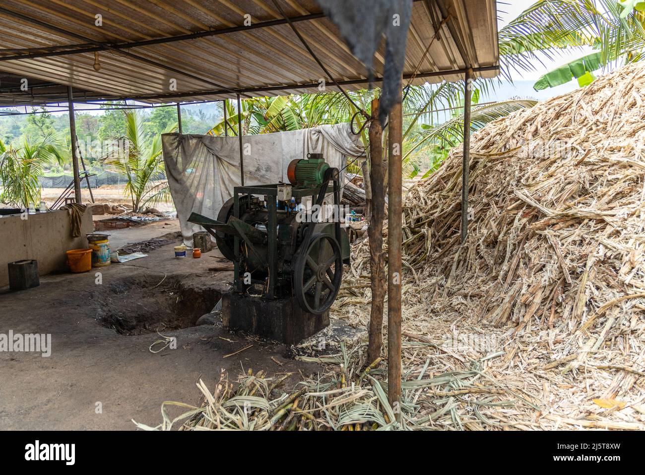 Mechanised diesel sugarcane crushing unit at jaggery manufacturing ...