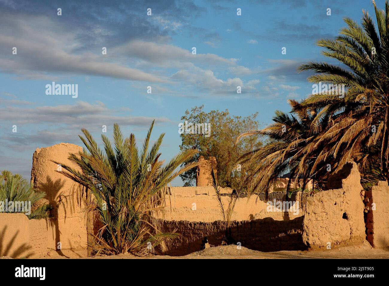 Figuig morocco hi-res stock photography and images - Alamy