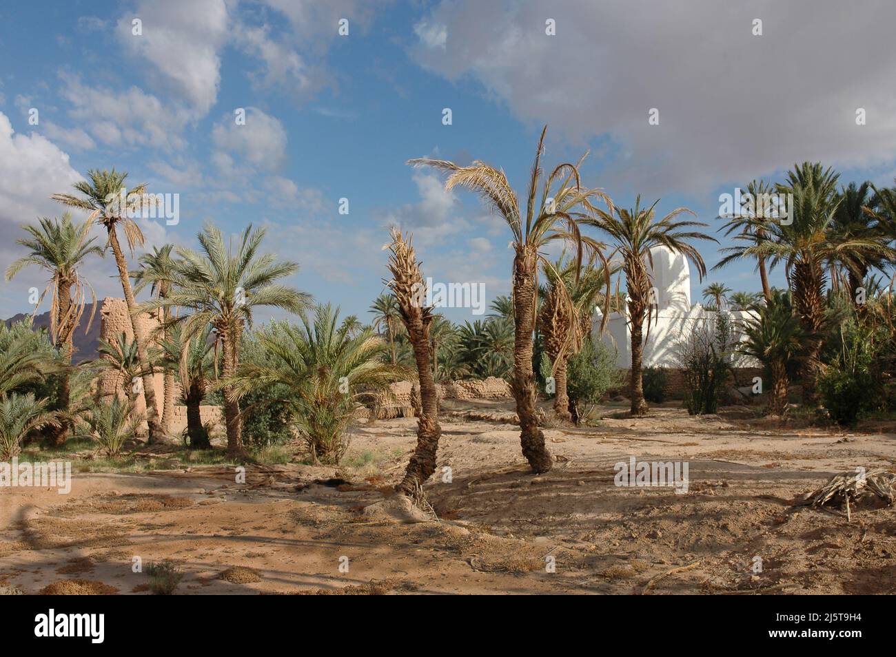 Figuig morocco hi-res stock photography and images - Alamy