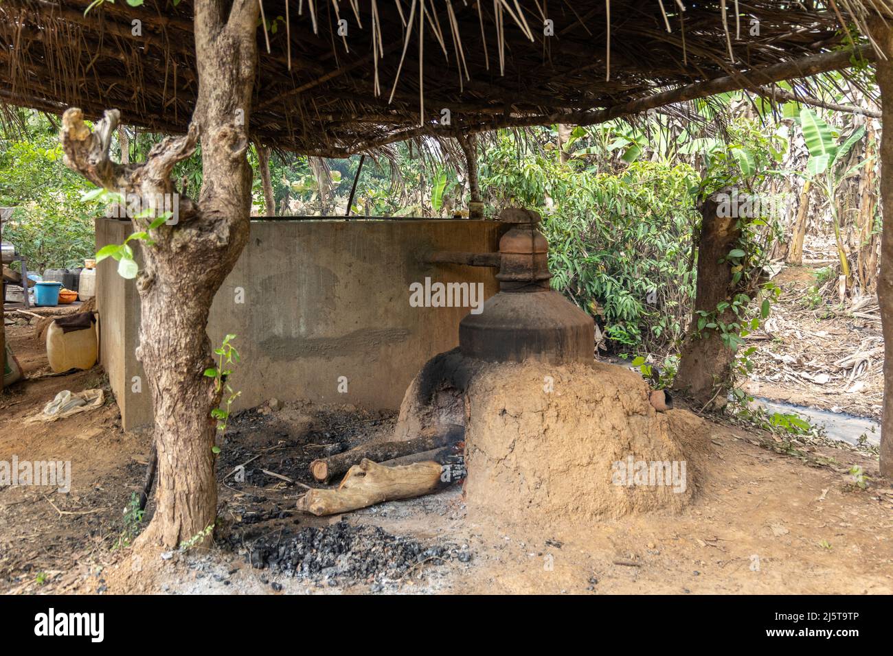 Feni goa hi-res stock photography and images - Alamy