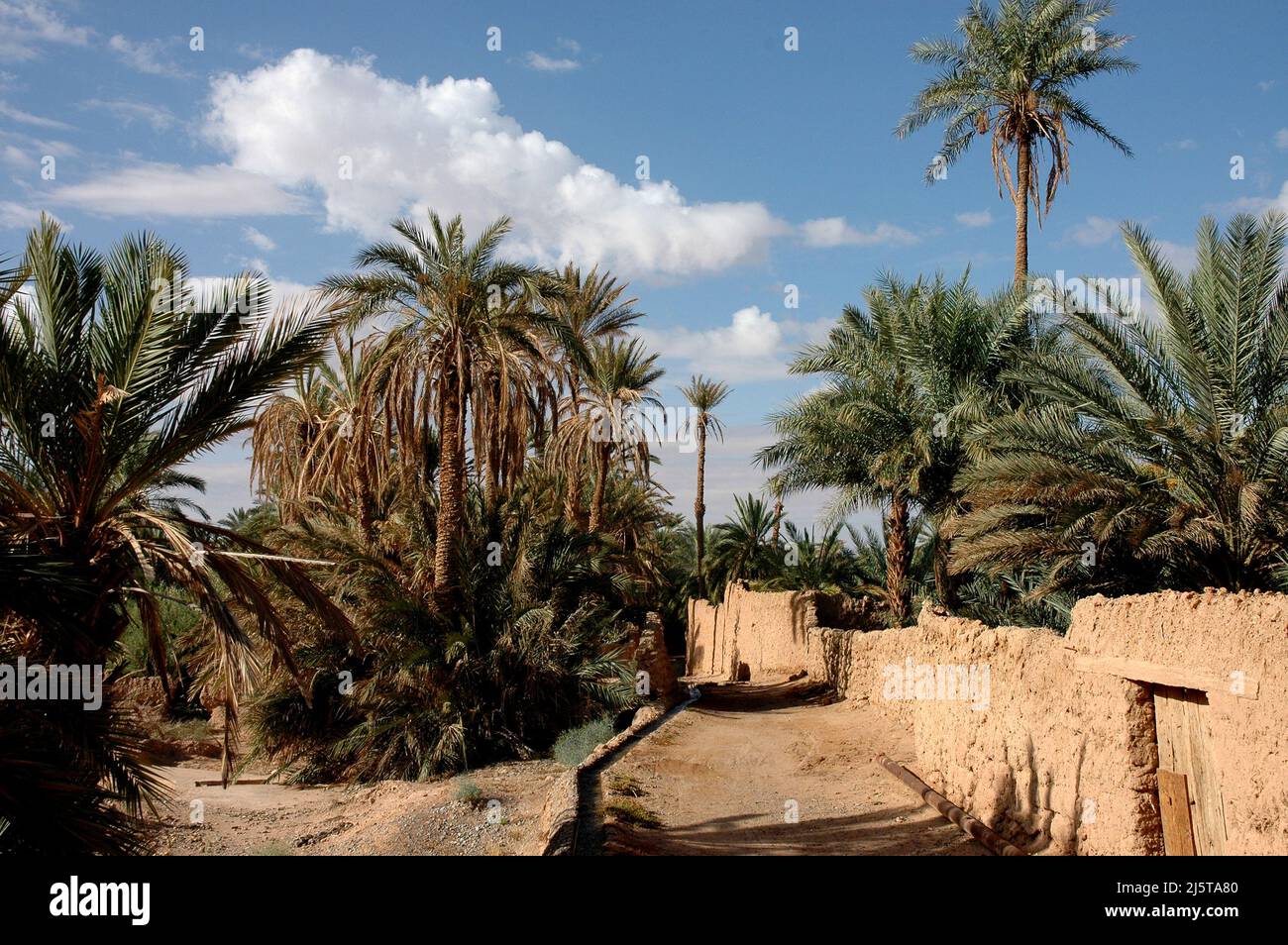 Figuig morocco hi-res stock photography and images - Alamy
