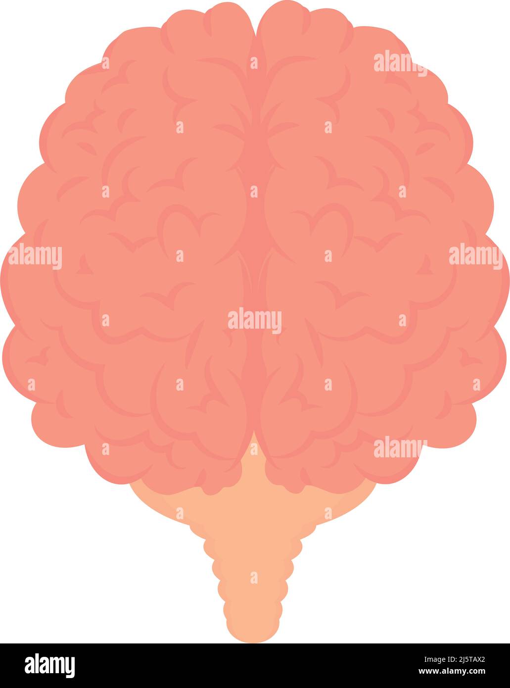 human brain organ Stock Vector Image & Art - Alamy