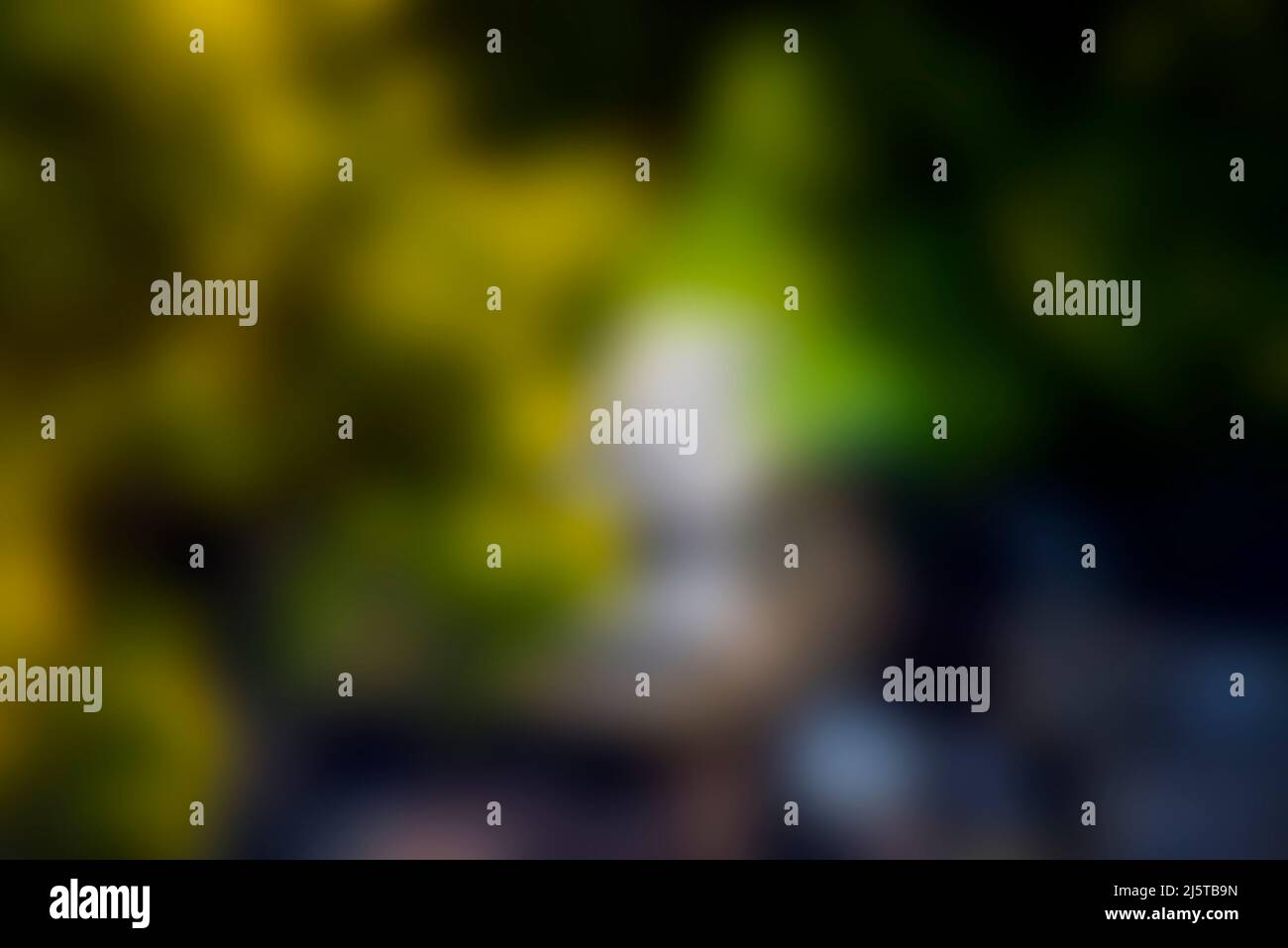 Background image in soft natural colors ,which could be used for ...