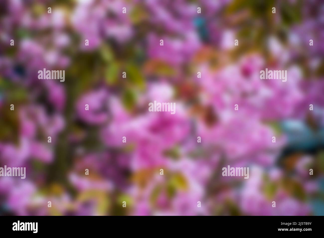 Background image in soft natural colors ,which could be used for ...