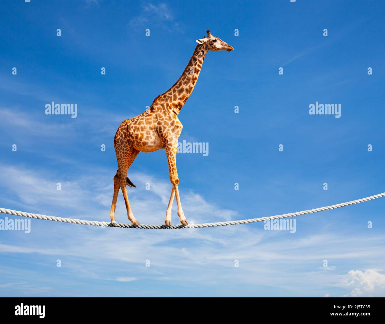 Walking on rope hi-res stock photography and images - Alamy