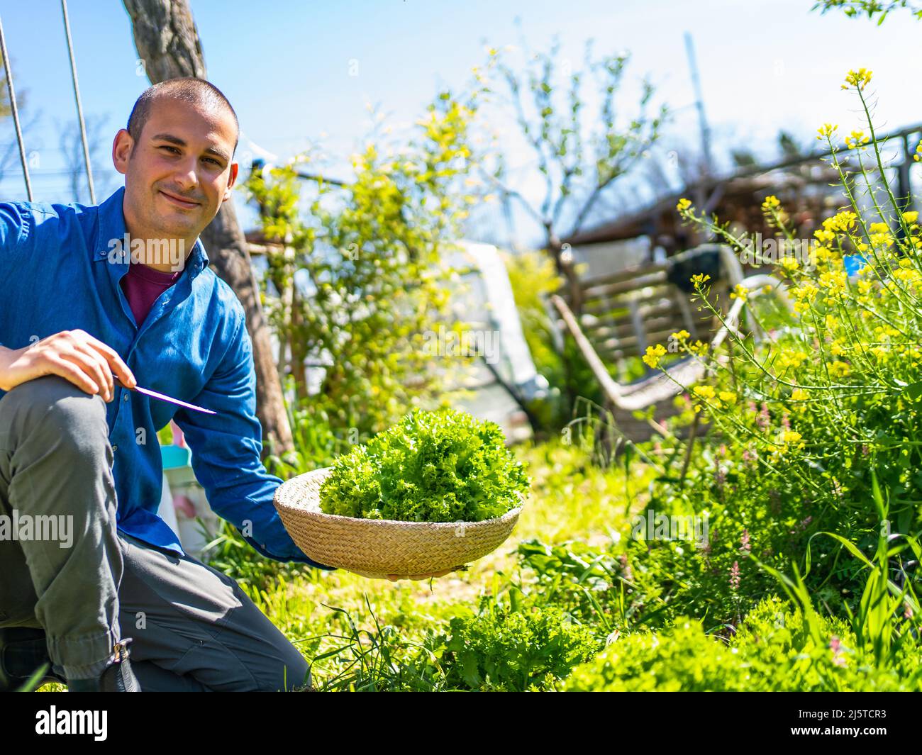 happy young man picks up a basket of vegetables in his vegetable garden ...